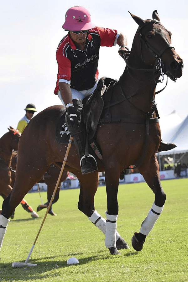 Worlds Best Polo Event - Colleen Olson Scottsdale Phoenix Real Estate